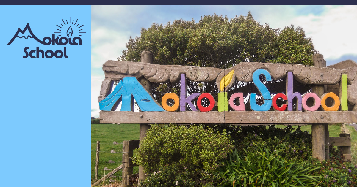 Charter & Plan - Mokoia School
